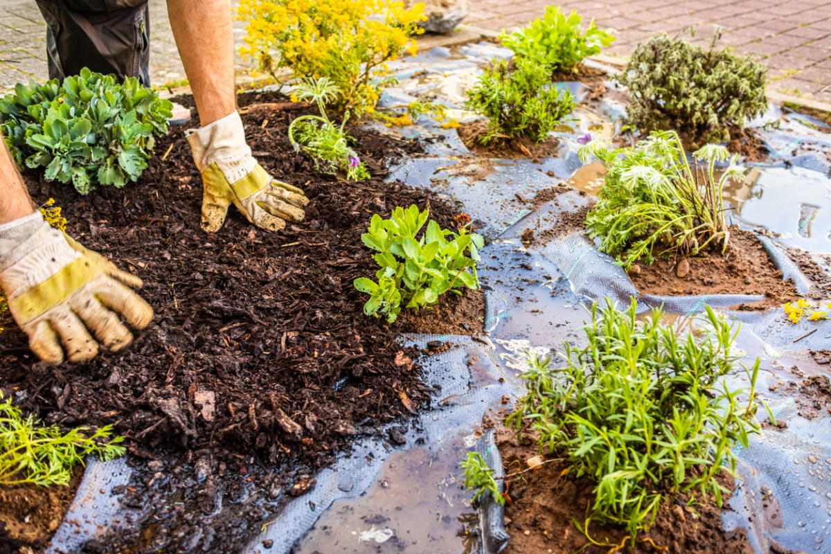 12 Simple Ways to Improve Your Piece of Earth - Bob Vila
