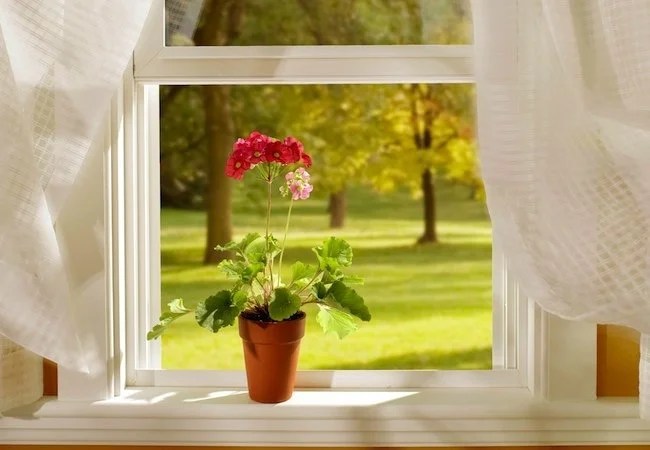 How to Open a Stuck Window - What Would Bob Do? - Bob Vila