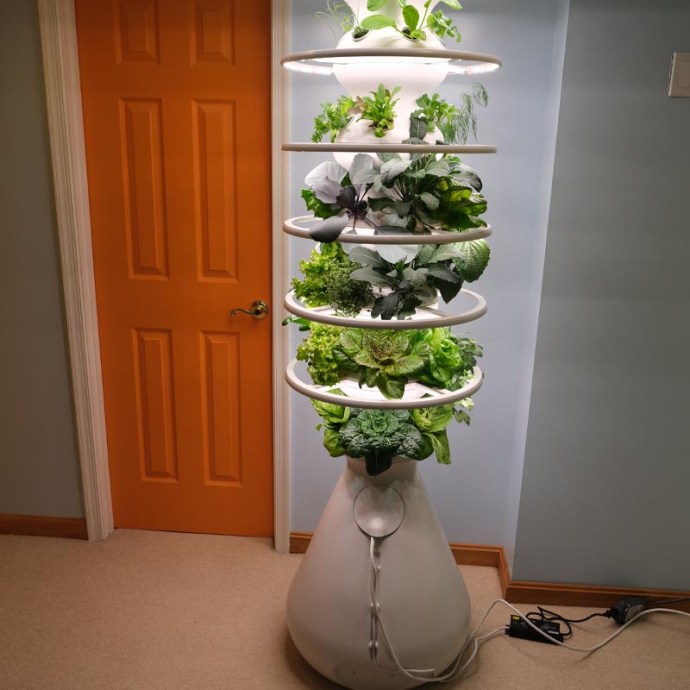 Our Review: The Lettuce Grow Farmstand Hydroponic System