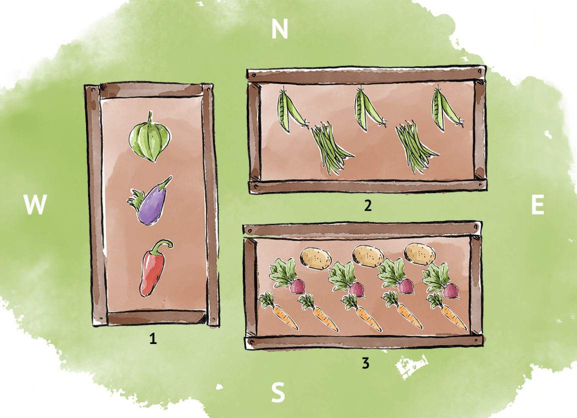 Vegetable Garden Layouts That Yield the Biggest Harvests