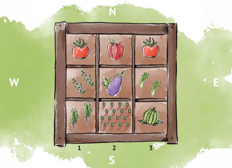 How to Lay Out a Vegetable Garden for the Best Possible Harvest