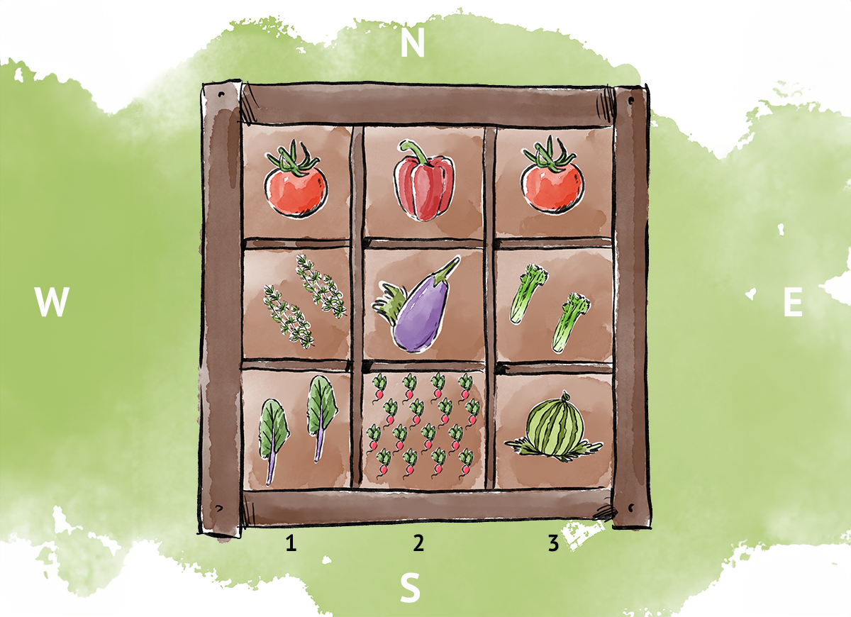 How to Lay Out a Vegetable Garden for the Best Possible Harvest