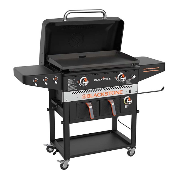 The Best Blackstone Grills for Sizzling Good Food