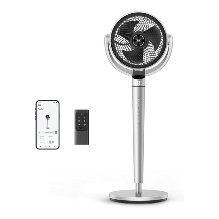 The Best Pedestal Fans for Staying Cool, Tested