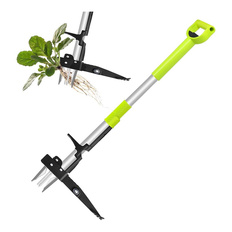 The Best Stand-Up Weeders - Tested by Bob Vila