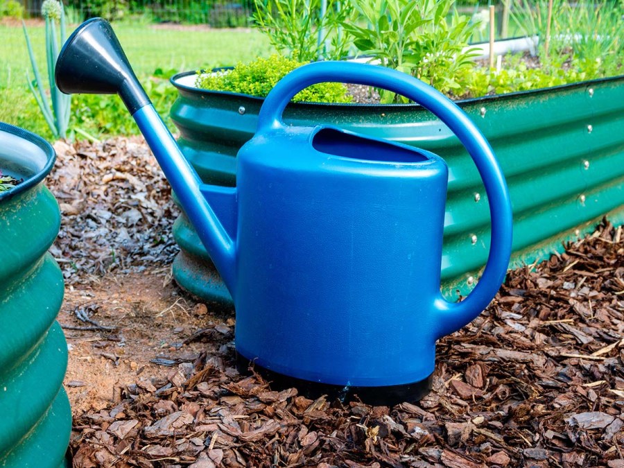 The Best Watering Cans, Tested and Reviewed