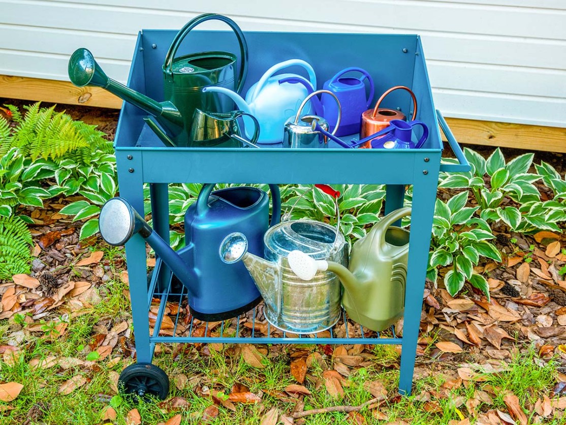 The Best Watering Cans, Tested and Reviewed