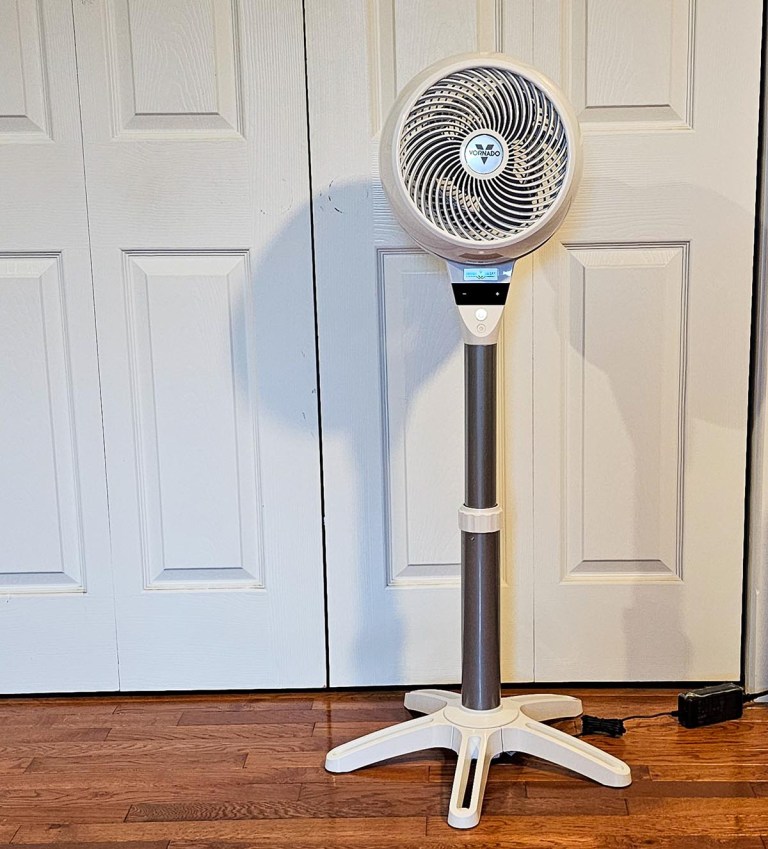 Cooling Comfort: A Vornado Pedestal Fan Review
