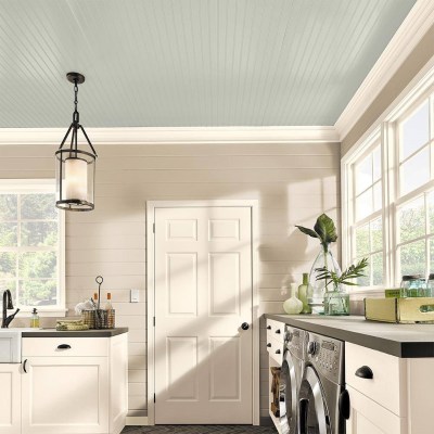8 Ceiling Paint Color Trends to Consider for Your Next Home Refresh ...