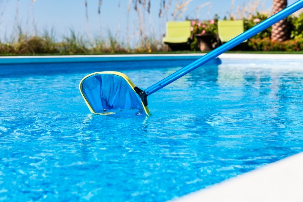 10 Ways to Keep Frogs Out of Your Pool