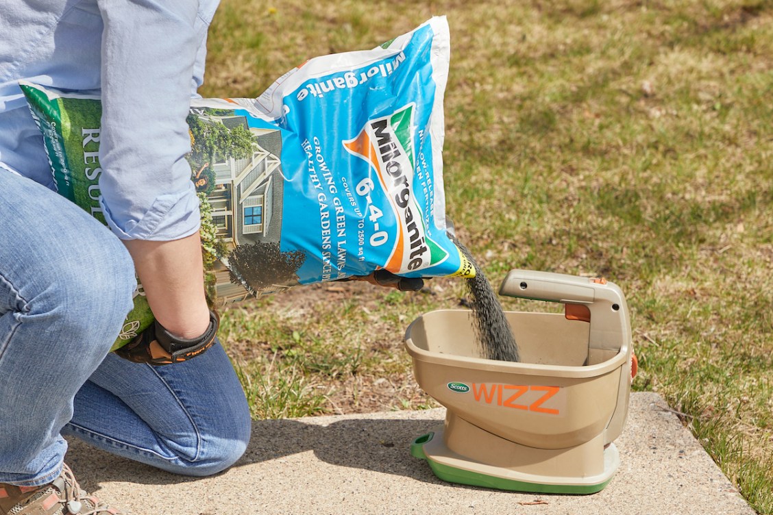 How to Overseed a Lawn: A Step-by-Step Guide