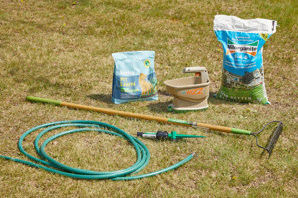 How to Overseed a Lawn: A Step-by-Step Guide