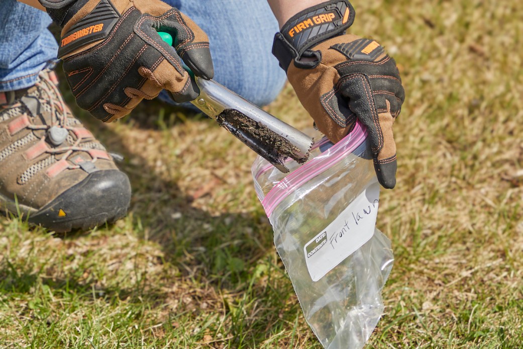 How to Overseed a Lawn: A Step-by-Step Guide