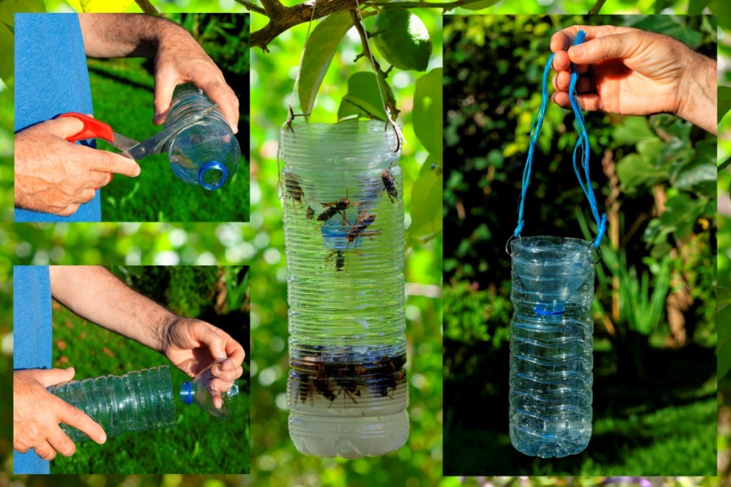 How to Get Rid of Wasps With Vinegar