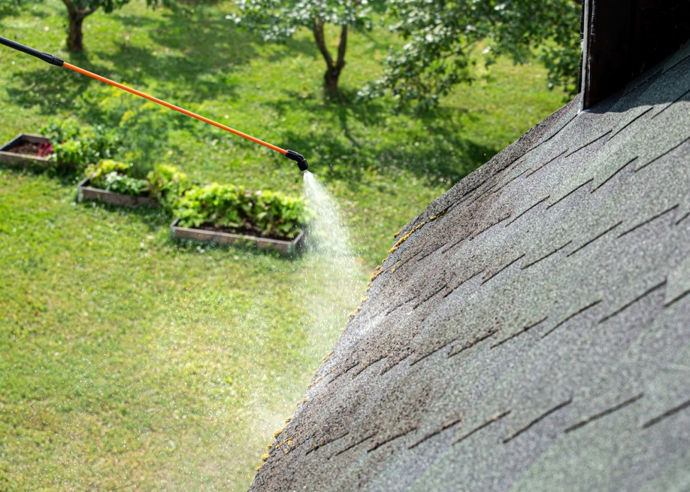 How to Clean Roof Shingles the Right Way