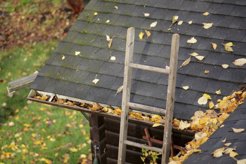 How to Clean Roof Shingles the Right Way