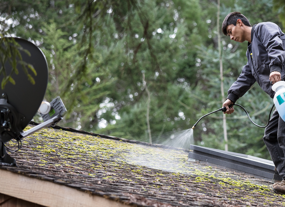 How to Clean Roof Shingles the Right Way