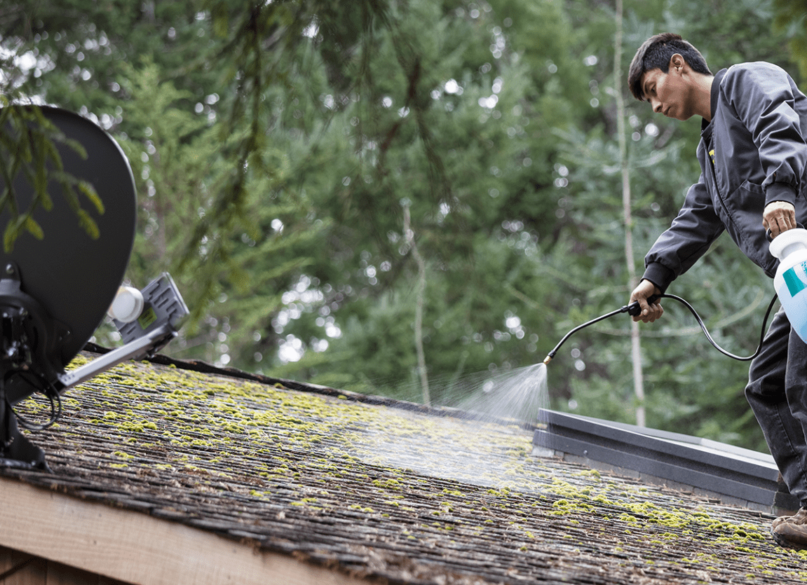 How to Clean Roof Shingles the Right Way