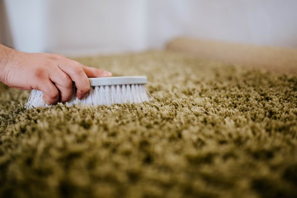 How to Get Mold Out of Carpet in the Home