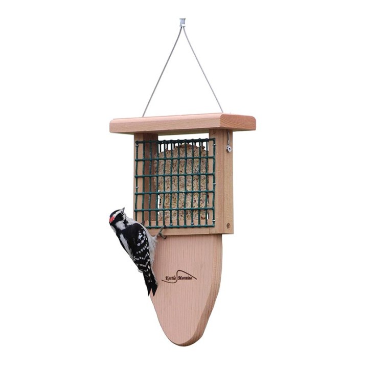 The Best Suet Bird Feeders for Your Backyard, Tested