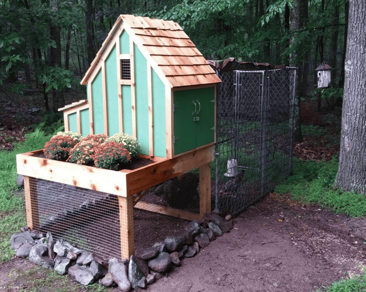 14 Chicken Coop Plans for Big and Small Homesteads