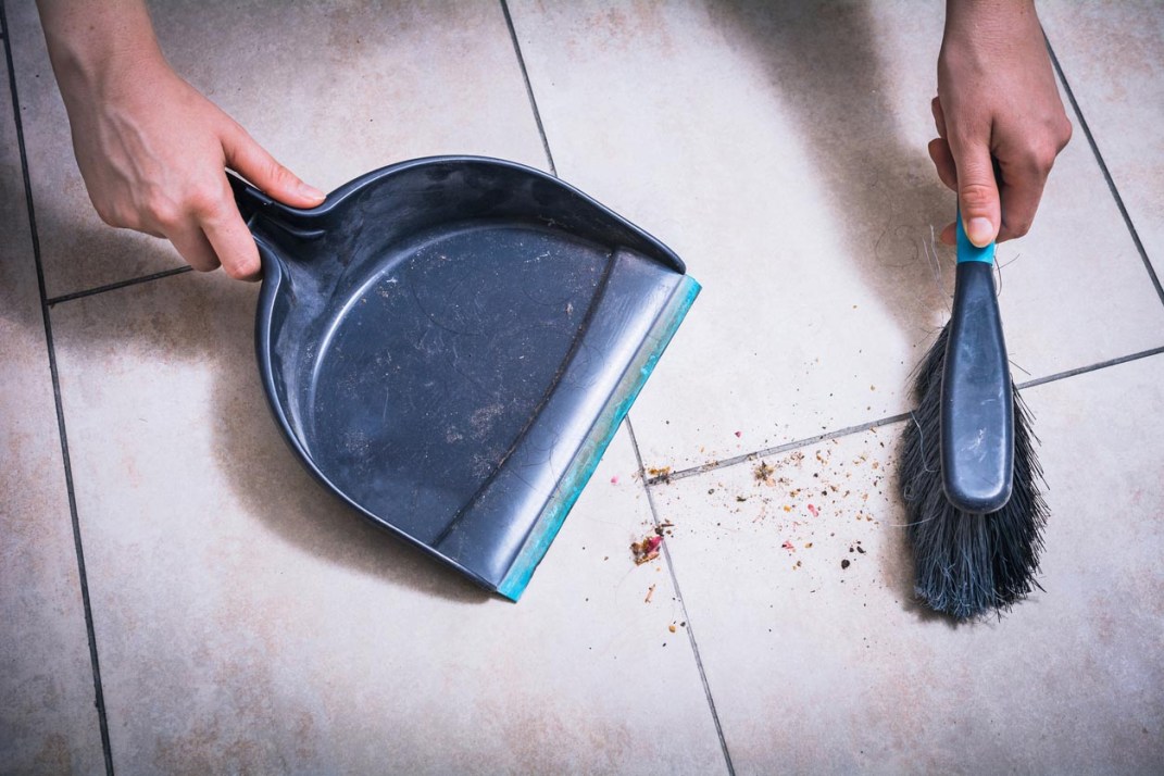 How to Get Rid of Phorid Flies in 7 Steps—Even If You've Tried Everything