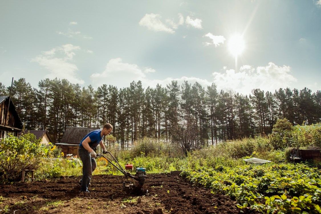 Cultivator vs. Tiller: Which Is Best for Your Garden?