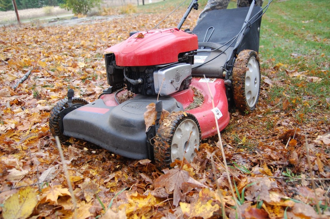 This Is The Right Grass Cutting Height for Your Lawn, Say Experts