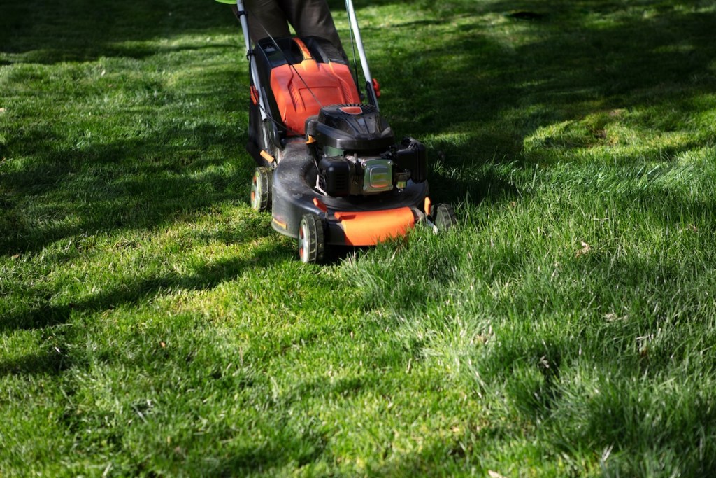This Is the Correct Grass Cutting Height for Your Lawn, According to ...