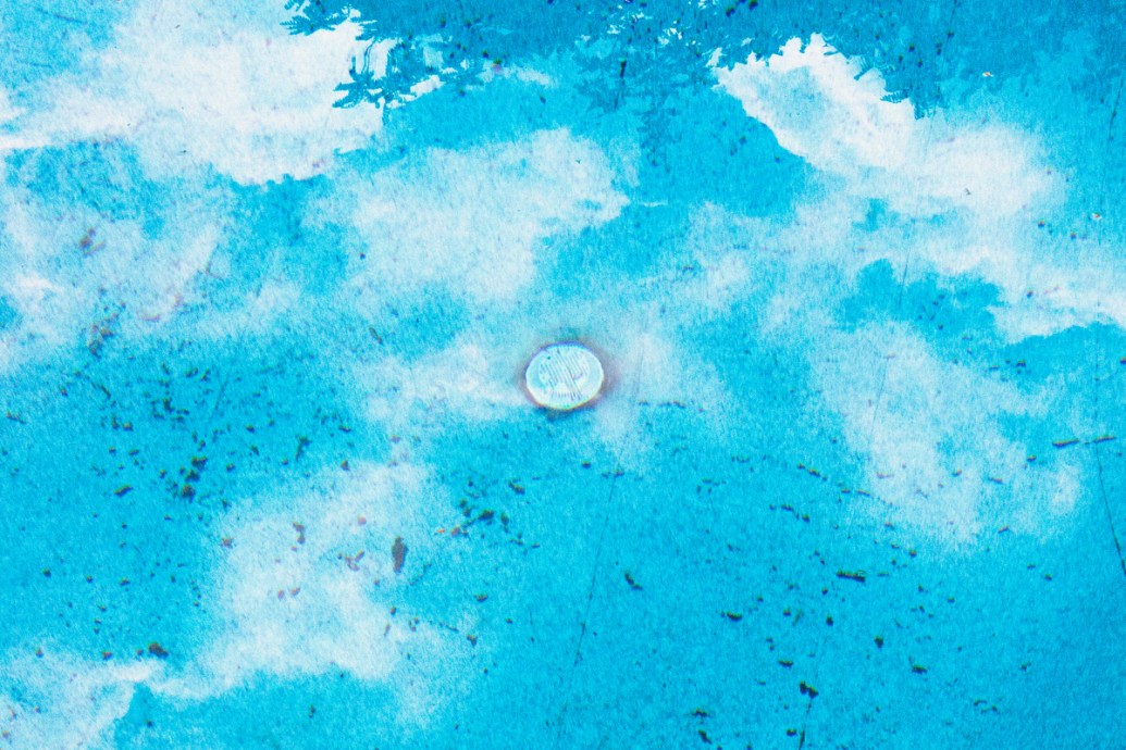 How to Remove Black Algae From Your Pool (and Keep it From Coming Back)