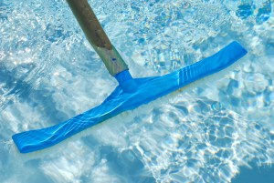 How to Remove Black Algae From Your Pool (and Keep it From Coming Back)