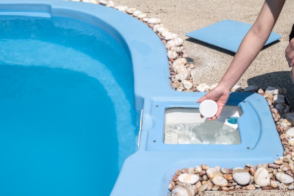 How to Remove Black Algae From Your Pool (and Keep it From Coming Back)