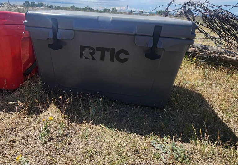 RTIC vs. Yeti vs. Titan: Which Cooler Is the Best?