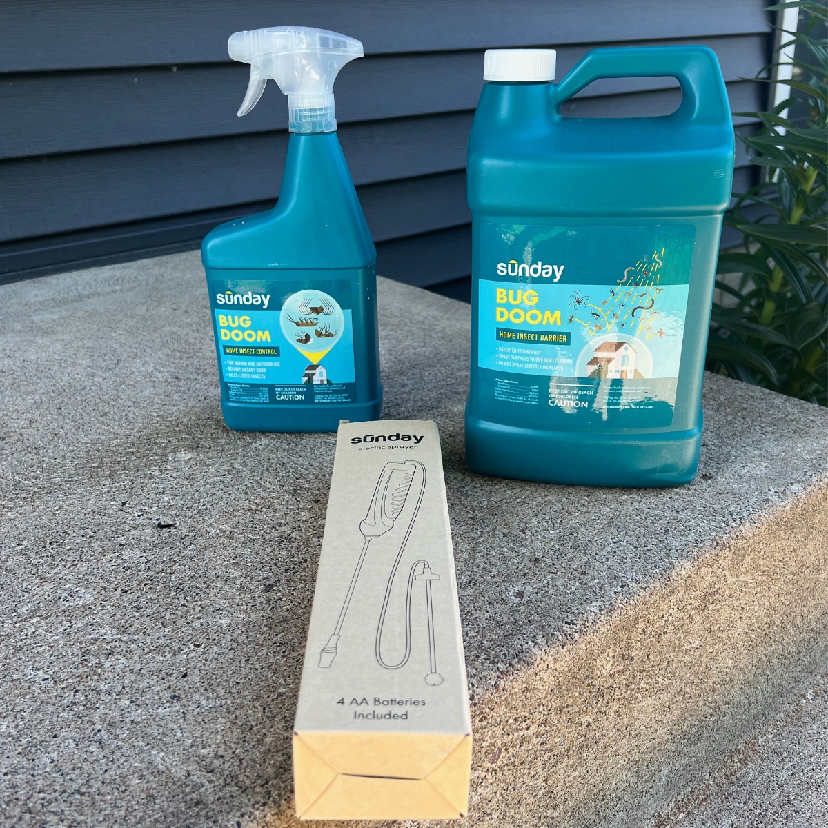 My Pantry Became a Breeding Ground for Moths. Could Sunday Save It?