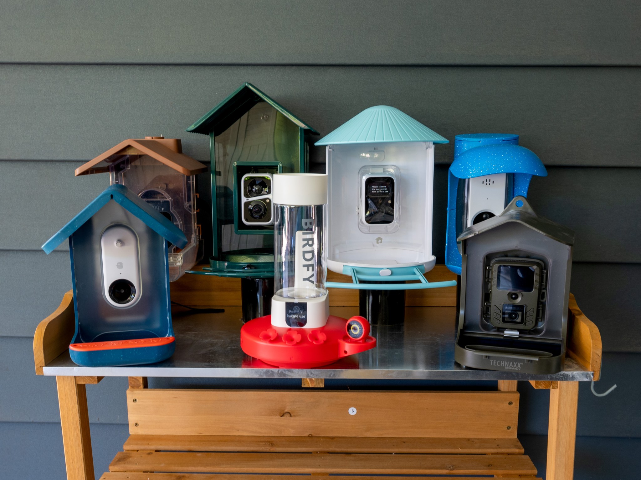 The Best Bird Feeder Cameras, Tested and Reviewed