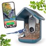 The Best Bird Feeder Cameras, Tested and Reviewed