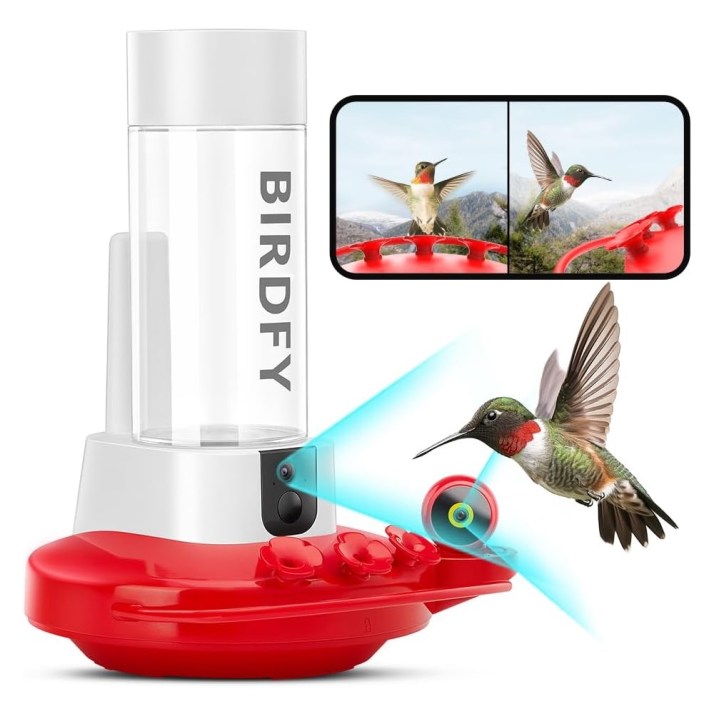 The Best Bird Feeder Cameras, Tested and Reviewed