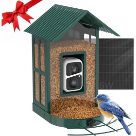 The Best Bird Feeder Cameras, Tested and Reviewed
