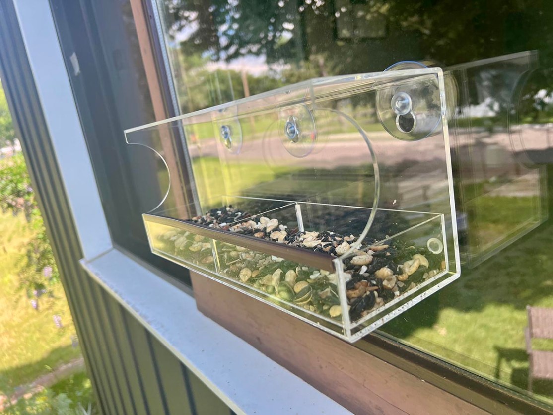 The Best Window Bird Feeders for Attracting Birds, Tested