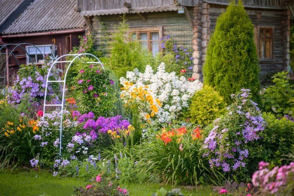 13 Flowering Shrubs for a Standout Home Landscape - Bob Vila