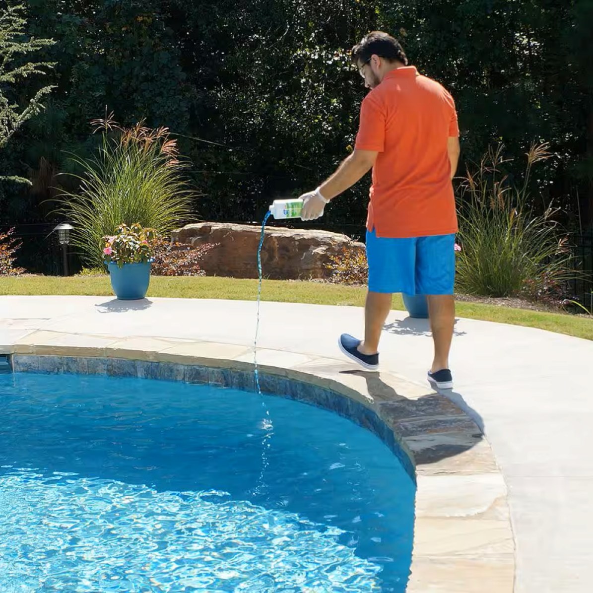 How to Remove Black Algae From Your Pool (and Keep it From Coming Back)