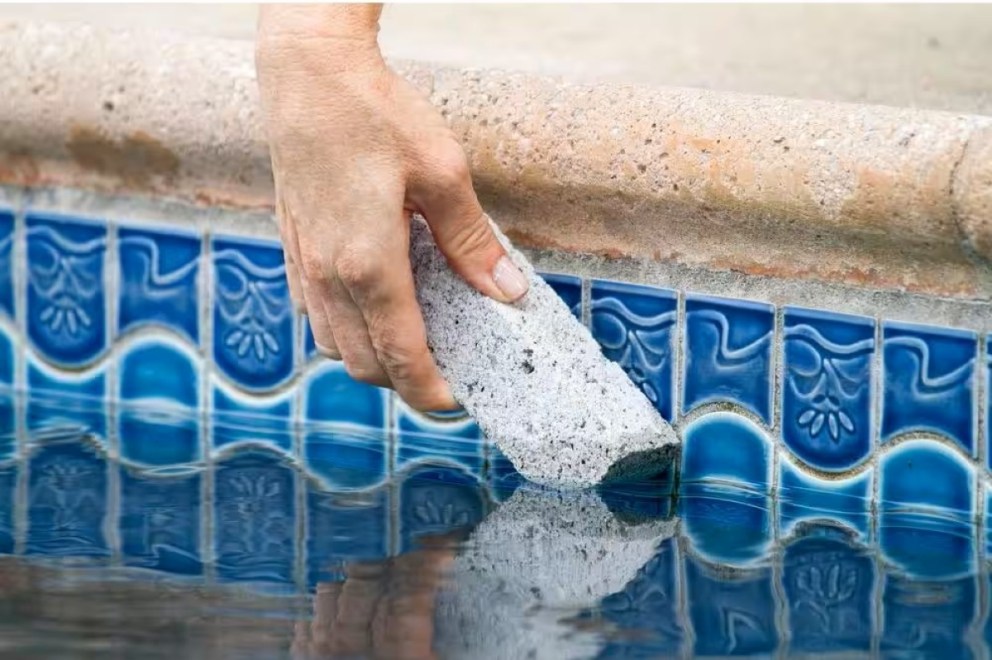 How to Remove Black Algae From Your Pool (and Keep it From Coming Back)