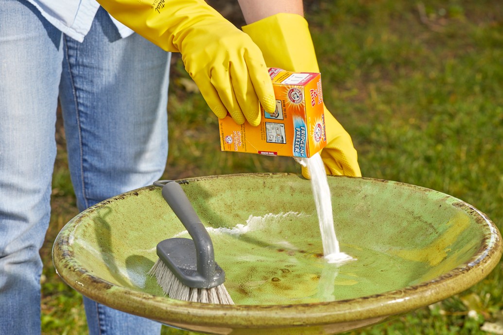 How to Clean a Bird Bath the Right Way