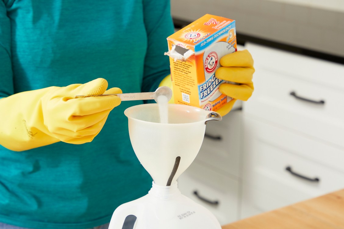 Homemade Plant Food Recipe for Indoor and Outdoor Plants