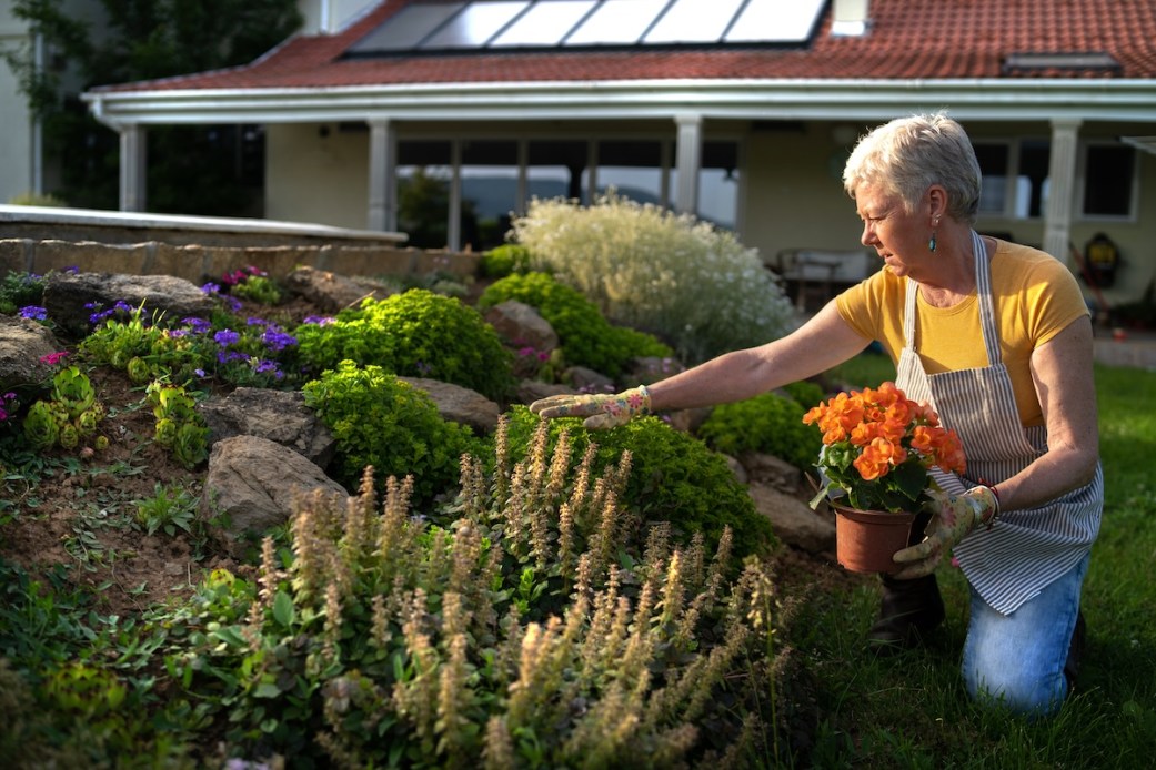 30 Low-Maintenance Plants for Your Easiest Garden Ever