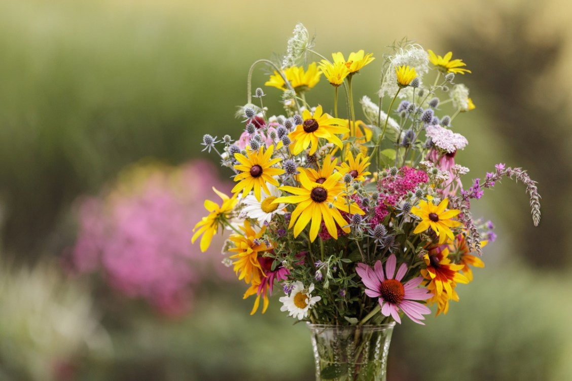 15 Cut Flowers to Grow for Stunning Homemade Bouquets