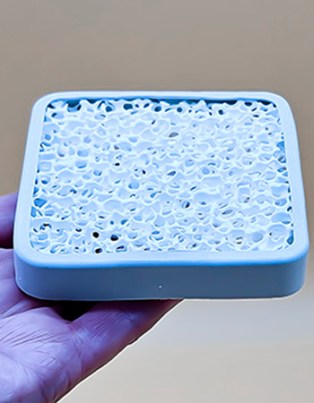 I Put the Shelfy to the Test to See if it Really Keeps Produce Fresh