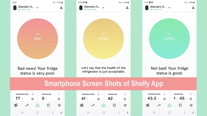 I Put the Shelfy to the Test to See if it Really Keeps Produce Fresh