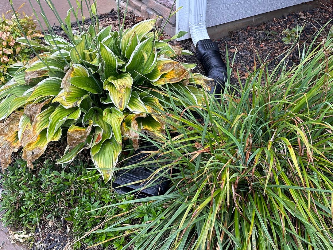 Save Your Foundation: The Best Downspout Extensions, Tested