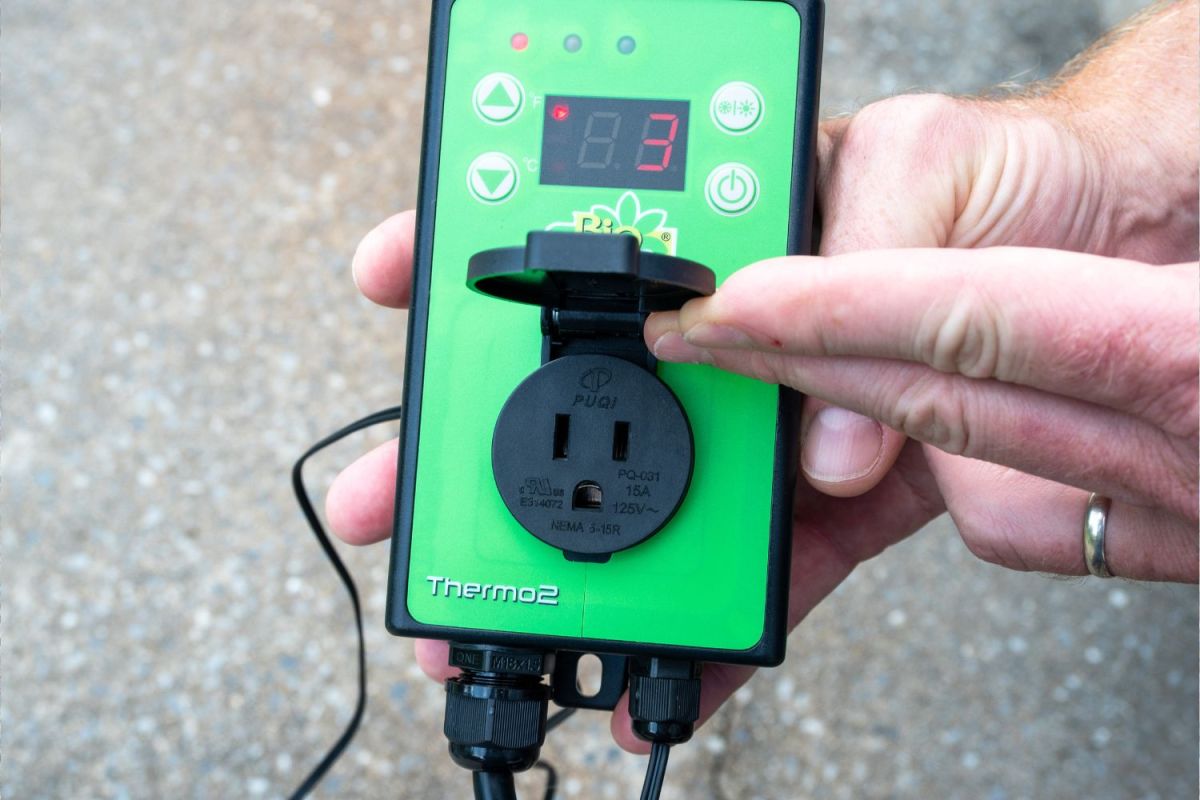 Is The Bio Green Palma Heater Worth It? See My Honest Review